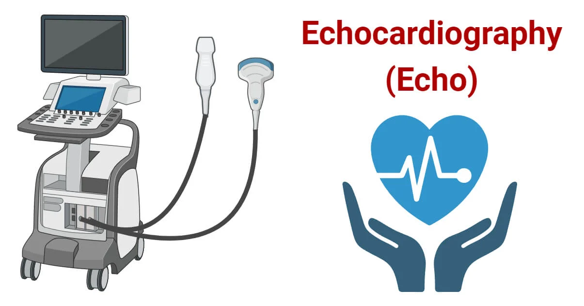 ECHO/ECG - Goobta - Somalia's No.1 Classified Site
